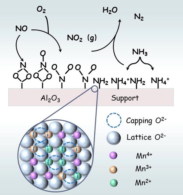 2022年-上海大学碳中和创新研究中心